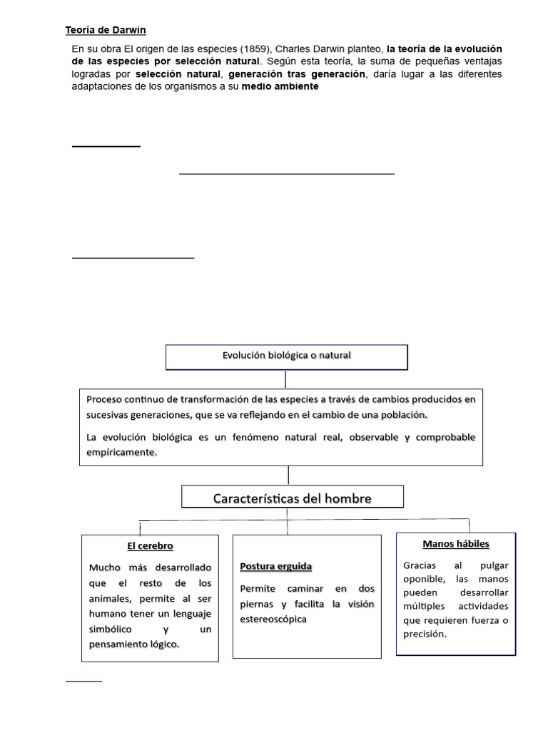 Ciencia 12-11-2024 6to | PDF | Evolución | Evolución humana