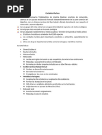 Características de los Sarcopterigios | PDF | Pescado | Vertebrados ...