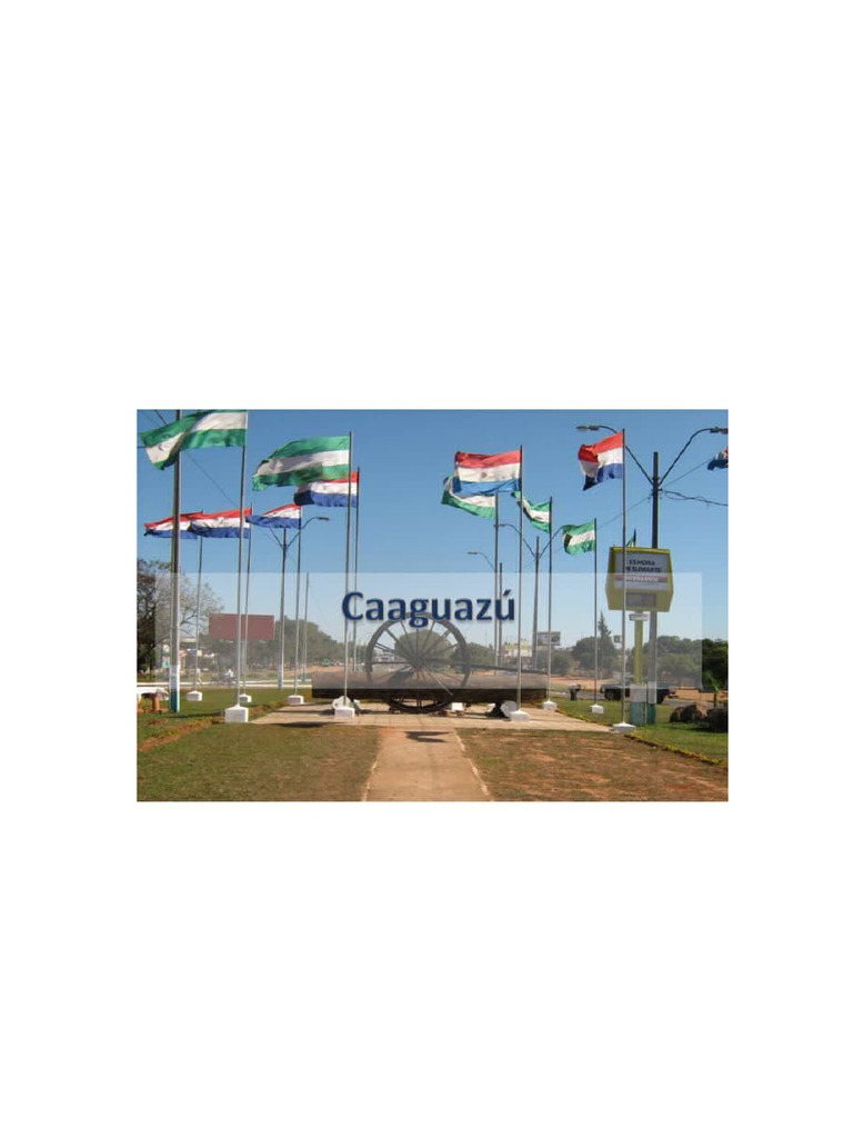 CAAGUAZU | PDF