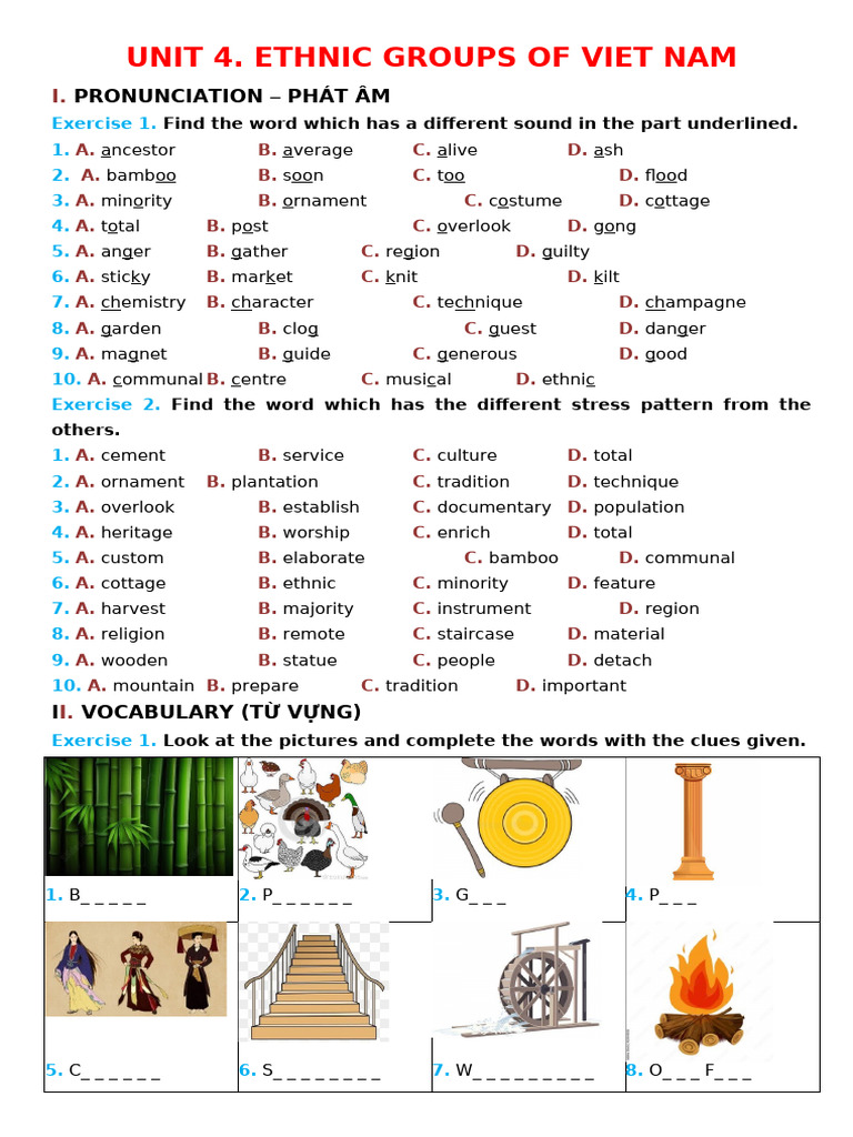 Ethnic Groups of Vietnam: Unit 4 Overview | PDF | Vietnamese People | Vietnam