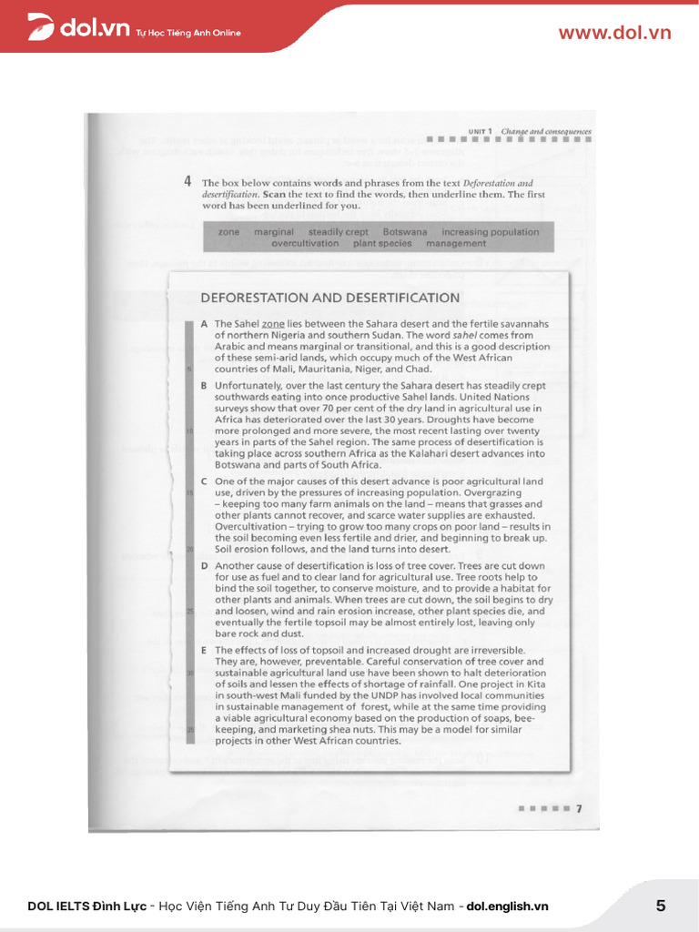 Reading - Improve Your English | PDF