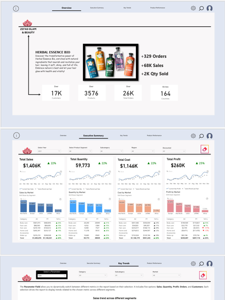 Attractive Dashboard Design Example | PDF | Marketing