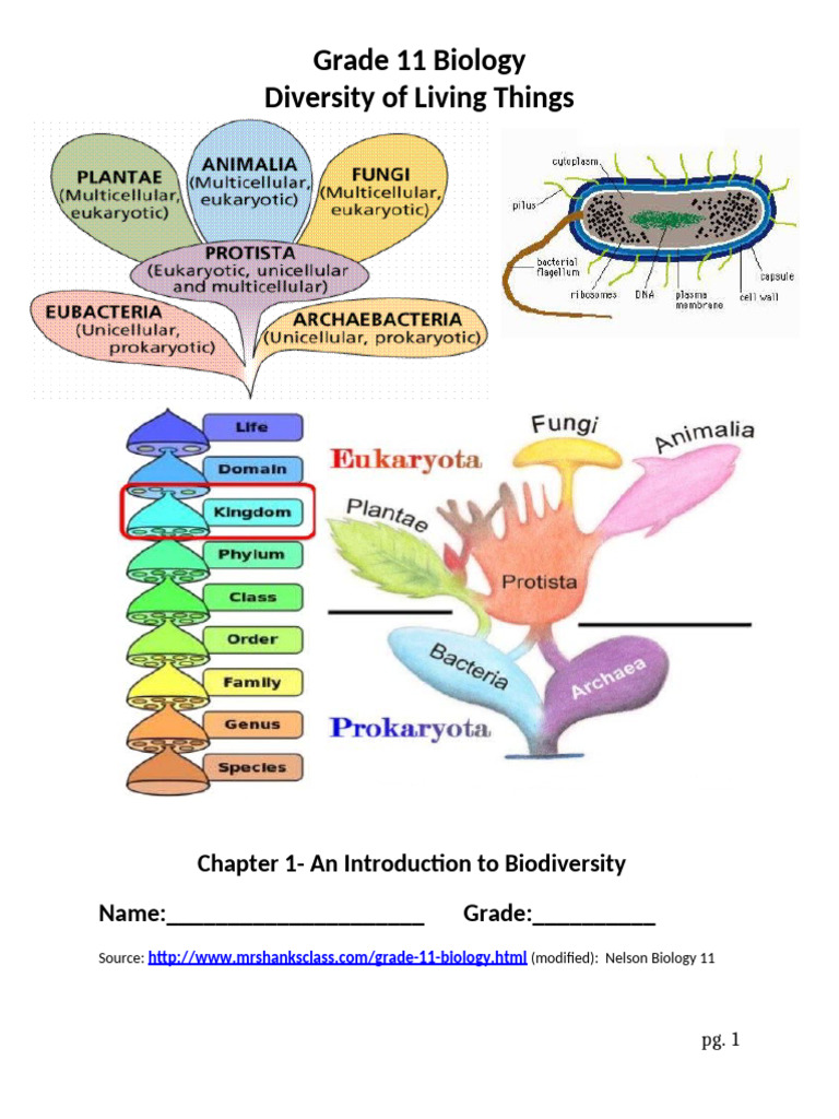 Biodiversity - Chapter 1note Package | PDF | Biodiversity | Taxonomy ...