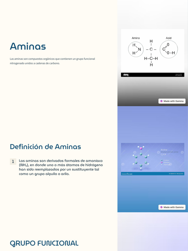 Guía Completa sobre Aminas | PDF | Amina | Sustancias químicas