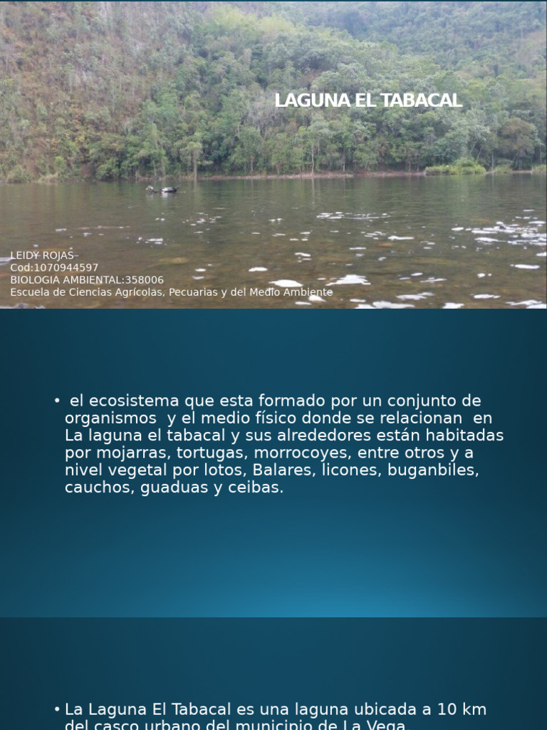 Ecosistema de Laguna El Tabacal | PDF