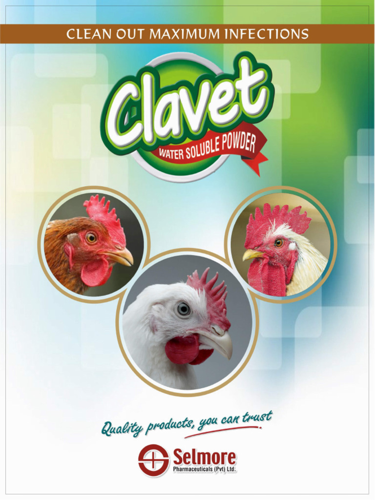 Clavet Injection Brochure | PDF