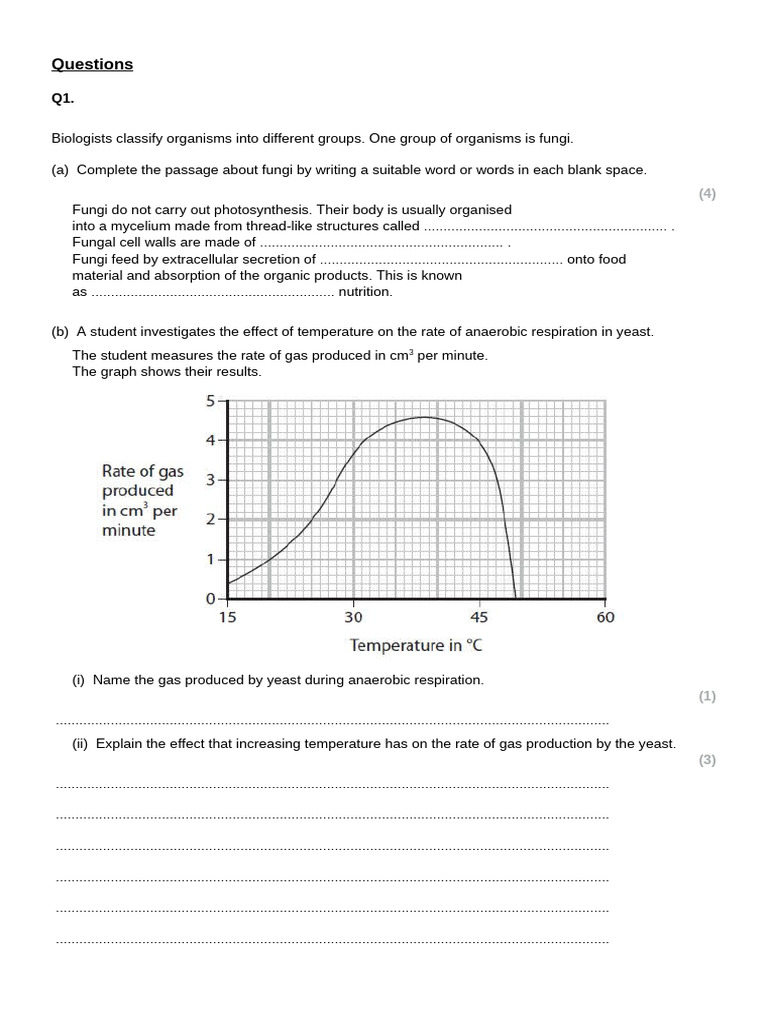 Fermentation Practical Q's & MS | PDF | Fungus | Yeast