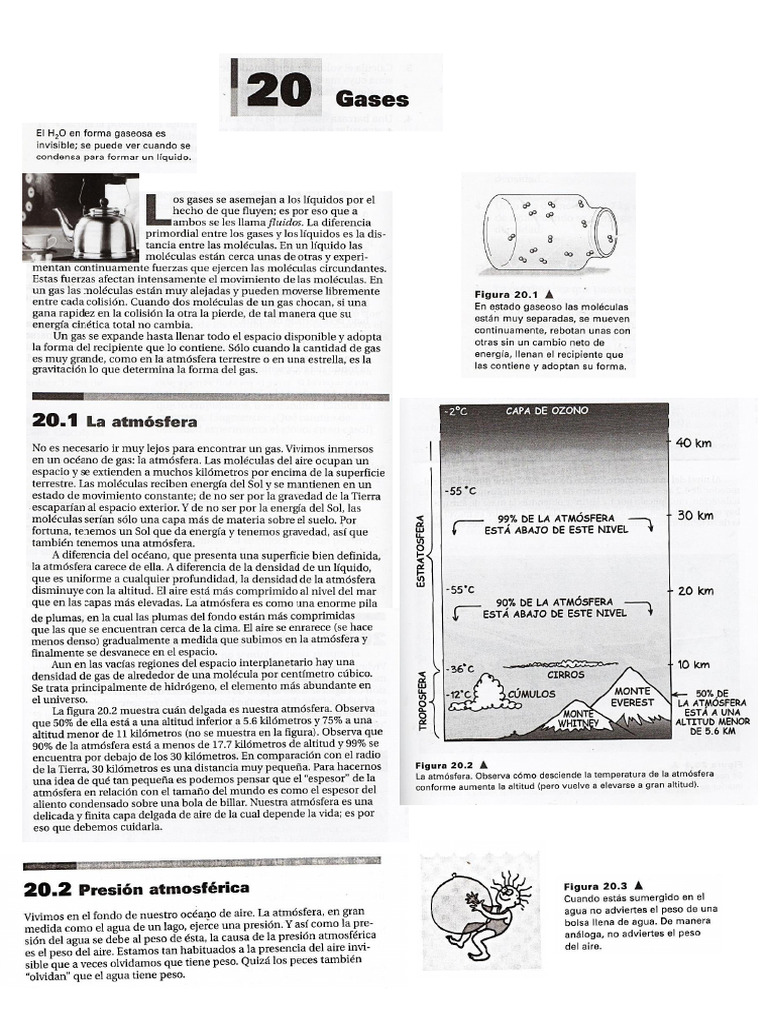 Estados de La Materia - Gases | PDF