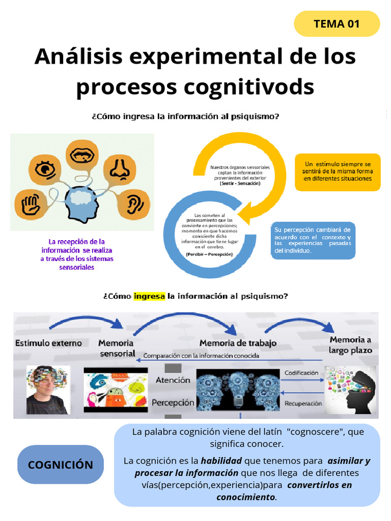 Procesos De Cognición Y Atención Pdf Memoria Pensamiento