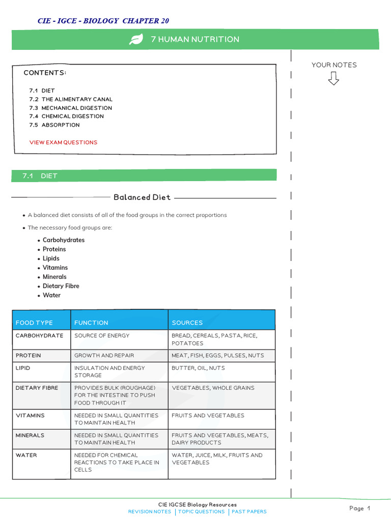 CIE-IGCSE-Chap-7-Animal Nutrition-Notes | PDF | Digestion | Small Intestine