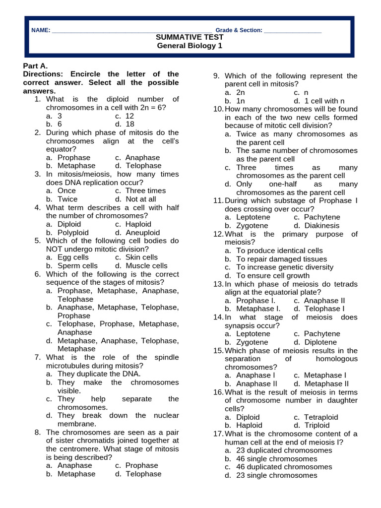 SUMMATIVE TEST - Gen Bio 1 - MitosisMeiosis | PDF | Meiosis | Mitosis