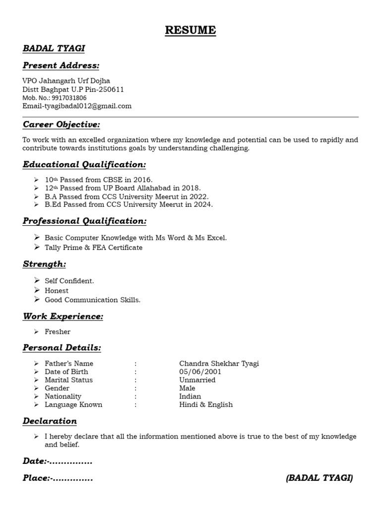 Badal Resume 2 | PDF
