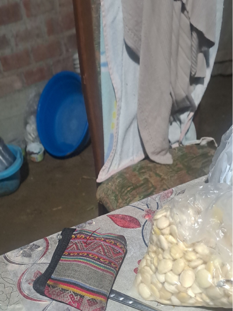 Escaneado 20241120-2336 | PDF