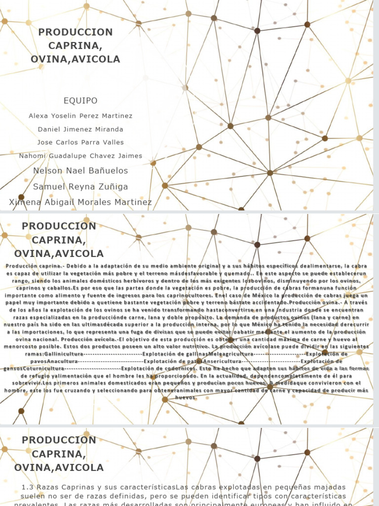 Produccion Caprina Ovina Y Avicola | PDF | Oveja | Carne