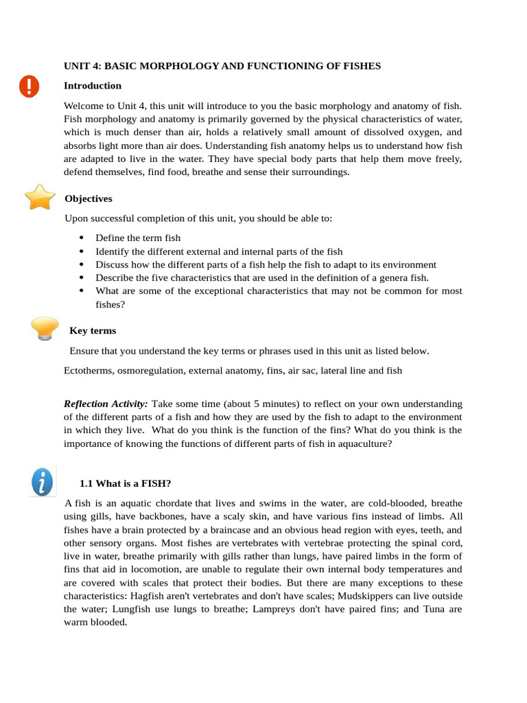 TOPIC 4 Basic Morphology - 023232 | PDF | Fish | Skin