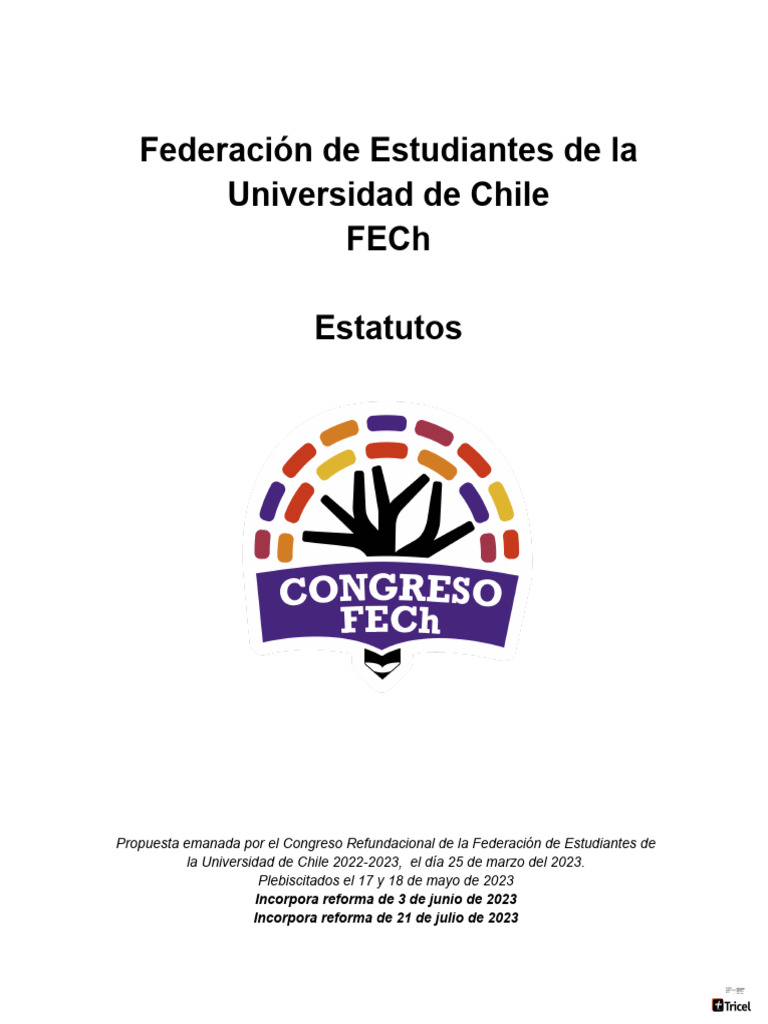 Estatutos FECh | PDF | Estudios de género | Feminismo