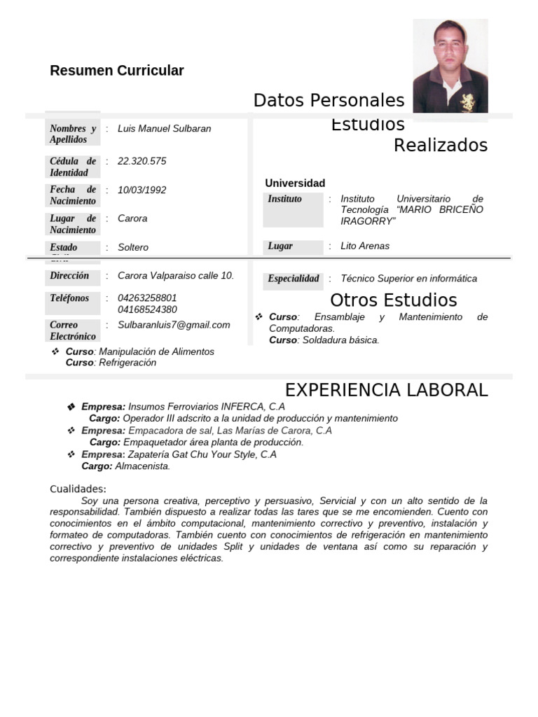 Resumen Curricular Web 2 - 092210 | PDF