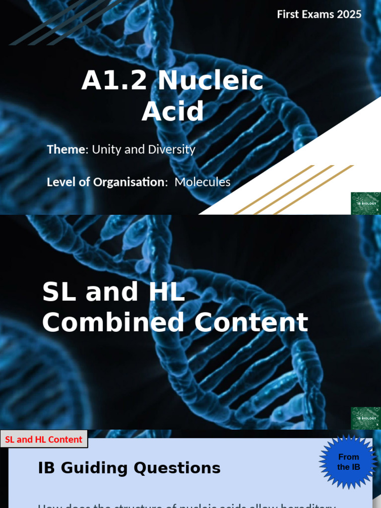 Understanding Nucleic Acids in Biology | PDF | Nucleotides | Dna