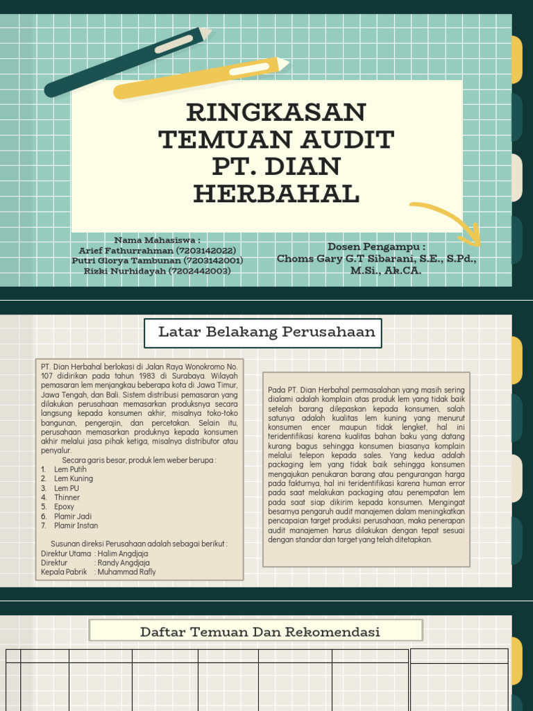 Temuan Audit PT. Dian Herbahal | PDF