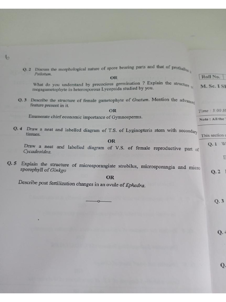 Paper 3 Pyp Bot. | PDF