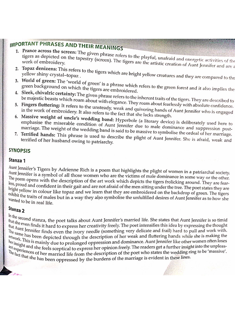 Poem-Aunt Jennifer's Tiger-Synopses, Flow Chart | PDF