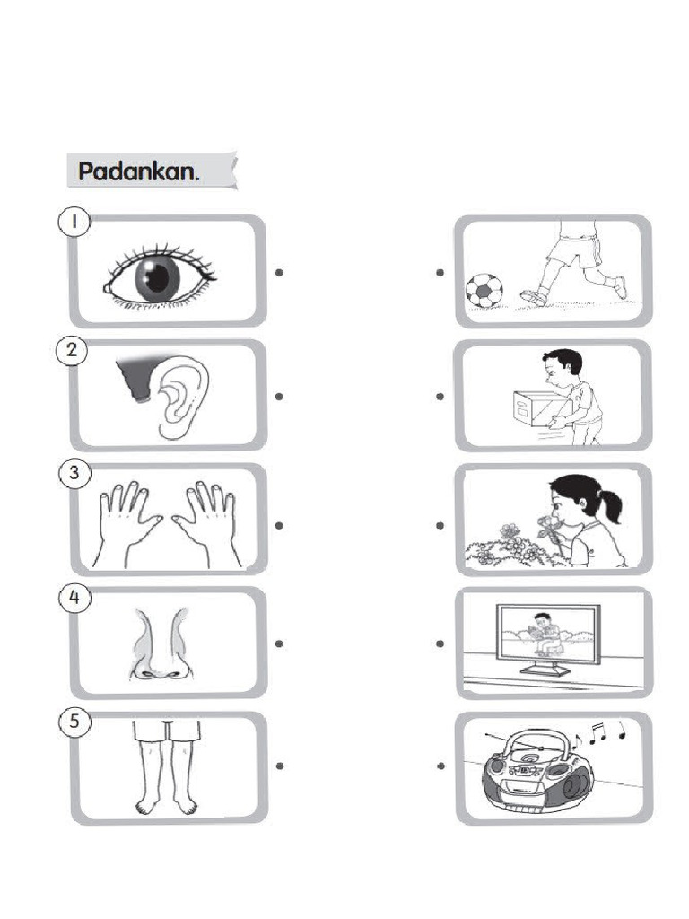 PADANKAN | PDF