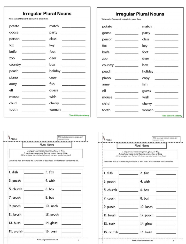 Plural Form | PDF