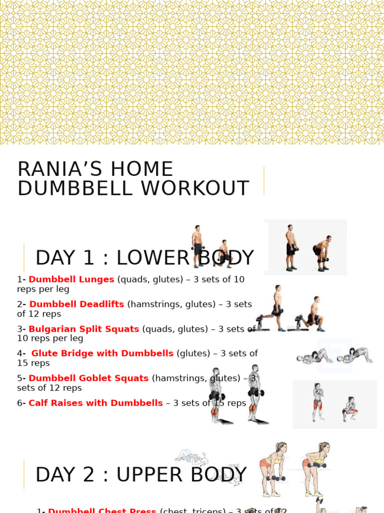 Rania's Home Dumbell Workout | PDF