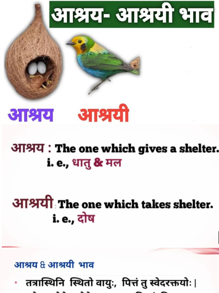Ashraya-Ashrayi Bhava in Ayurveda | PDF | Ayurveda | Bone