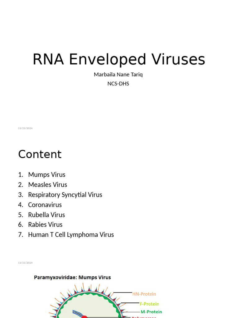 Lecture 4B RNA Virus Enveloped | PDF | Virus | Measles