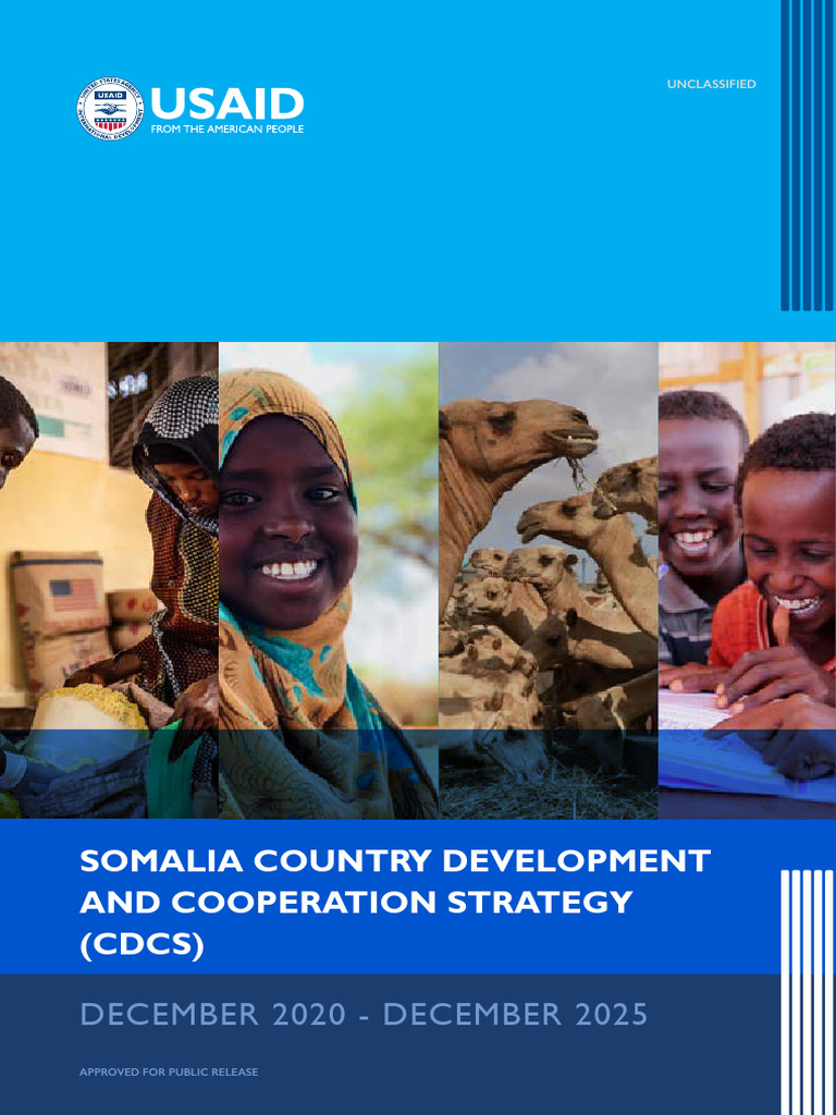 Somalia CDCS Public 0 | PDF | Somalia | United States Agency For ...