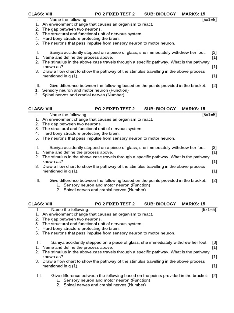 Nervous System Test - Viii | PDF | Nerve | Stimulus (Physiology)