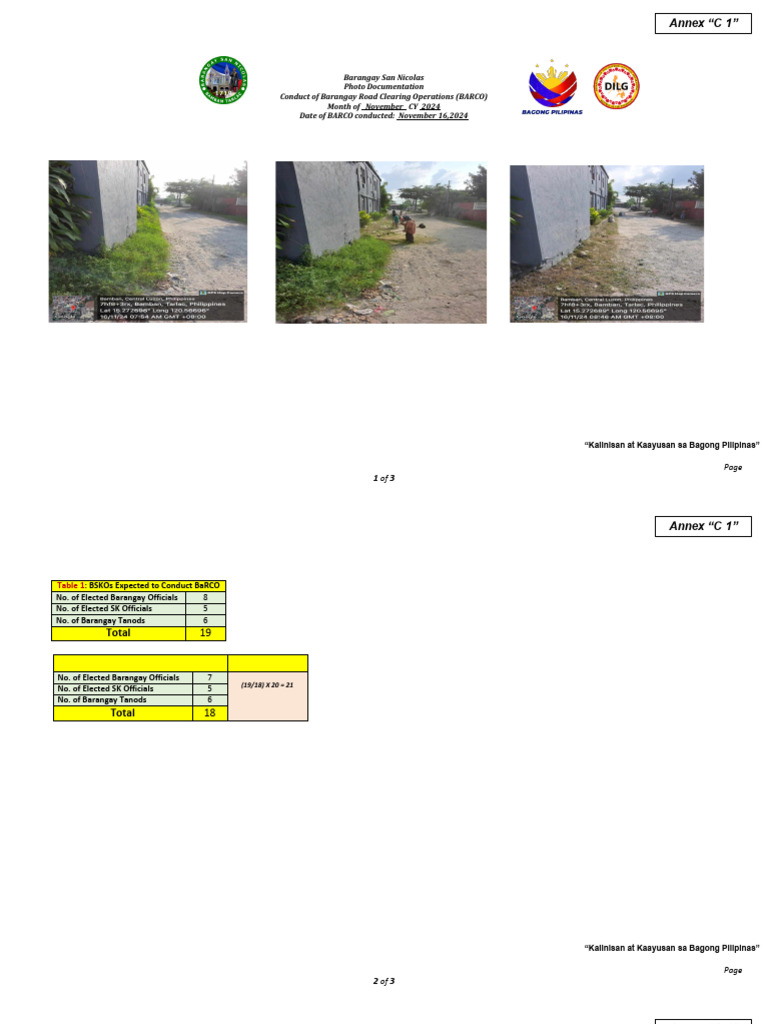 Annex C-1 - Photo Documentation - Barangay San Nicolas | PDF