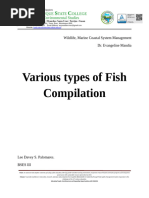 Alimasag and Alimango: Crab Comparisons | PDF | Bivalvia | Mollusca