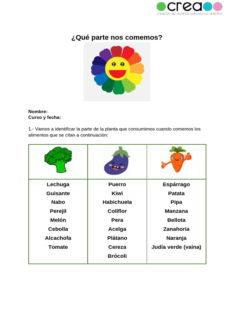 ¿Qué Parte Nos Comemos - Plantas | PDF