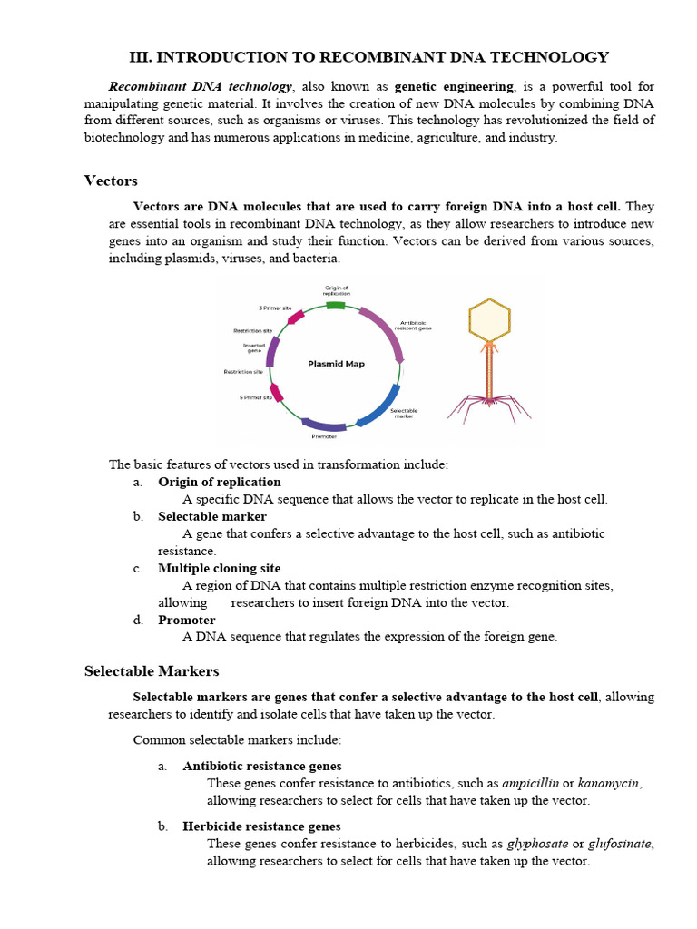 3-4 Genetics, Central Dogma | PDF | Complementary Dna | Molecular Cloning