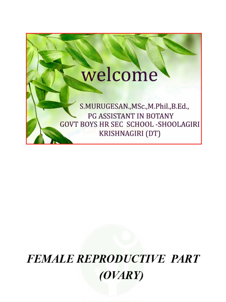 12th Bio Botany Lesson 1 PPT Study Material Tamil Medium | PDF