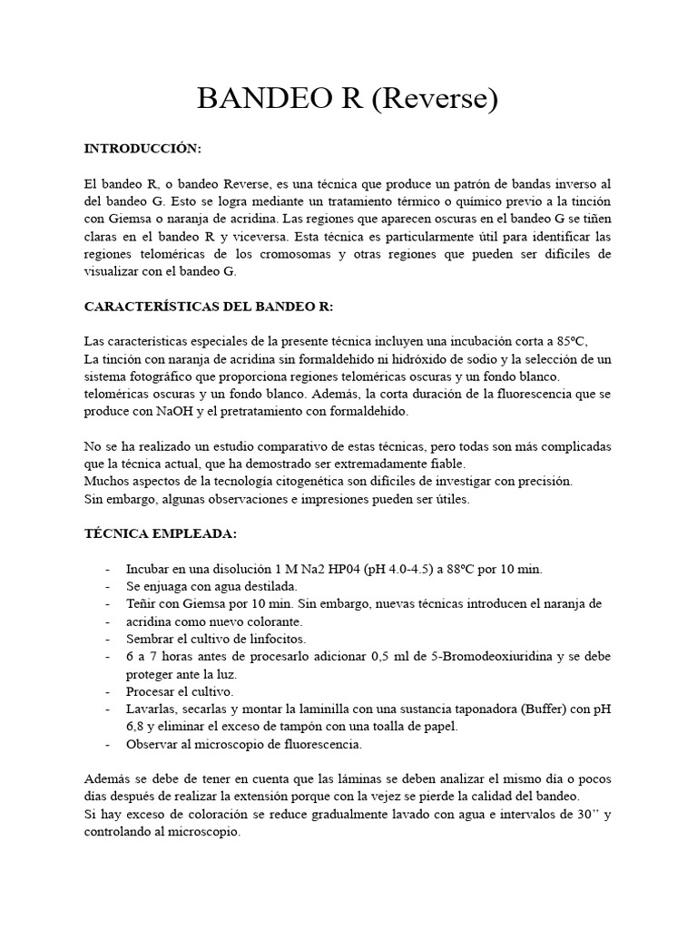 Cariotipado: Pasos para El Bandeo R A Partir Del Sacrificio. | PDF ...