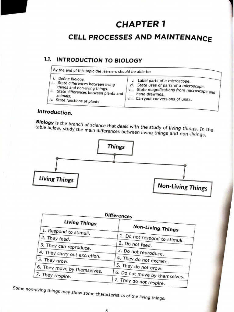 Notes On Cell Processes | PDF