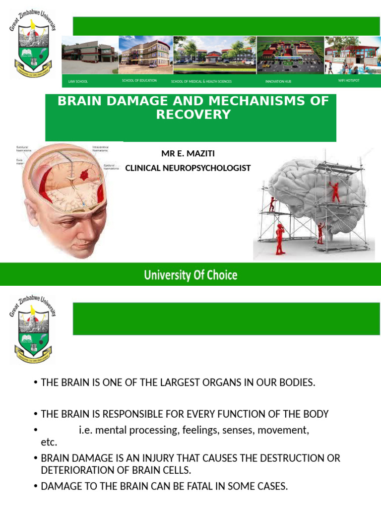 Psychobiology (Brain Damage and Mechanisms of Recovery) | PDF | Stroke ...