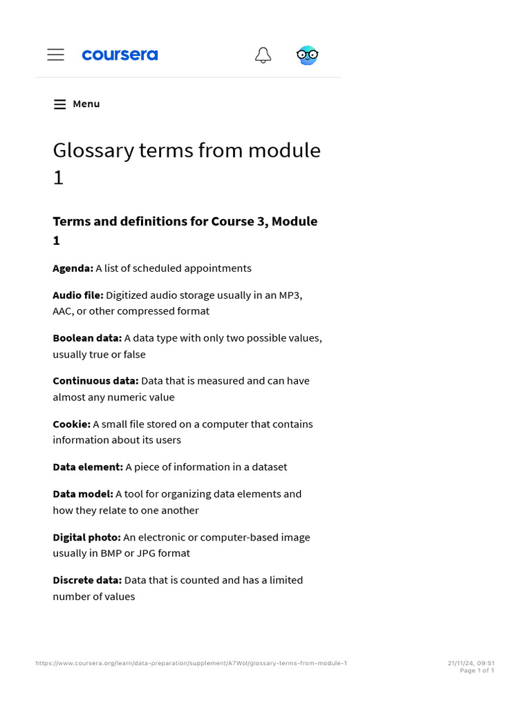 Course 3 Module 1 Glossary Terms | PDF | Computers