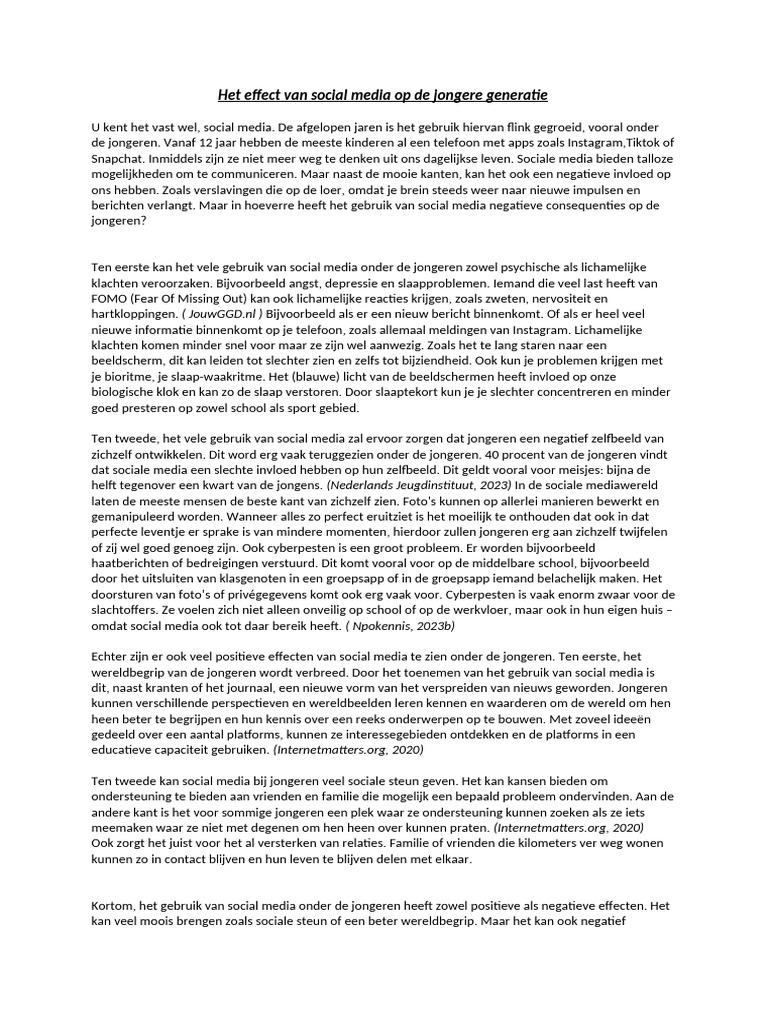 Voorbeeld Beschouwing | PDF