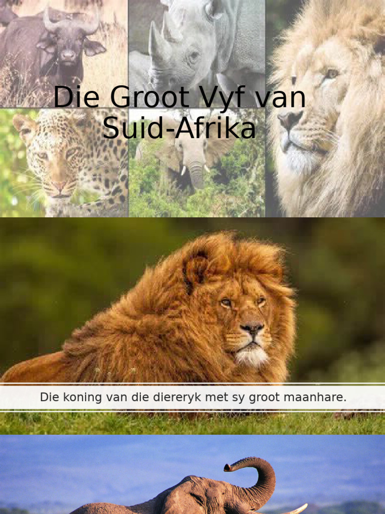 Die Groot Vyf Van Suid-Afrika | PDF