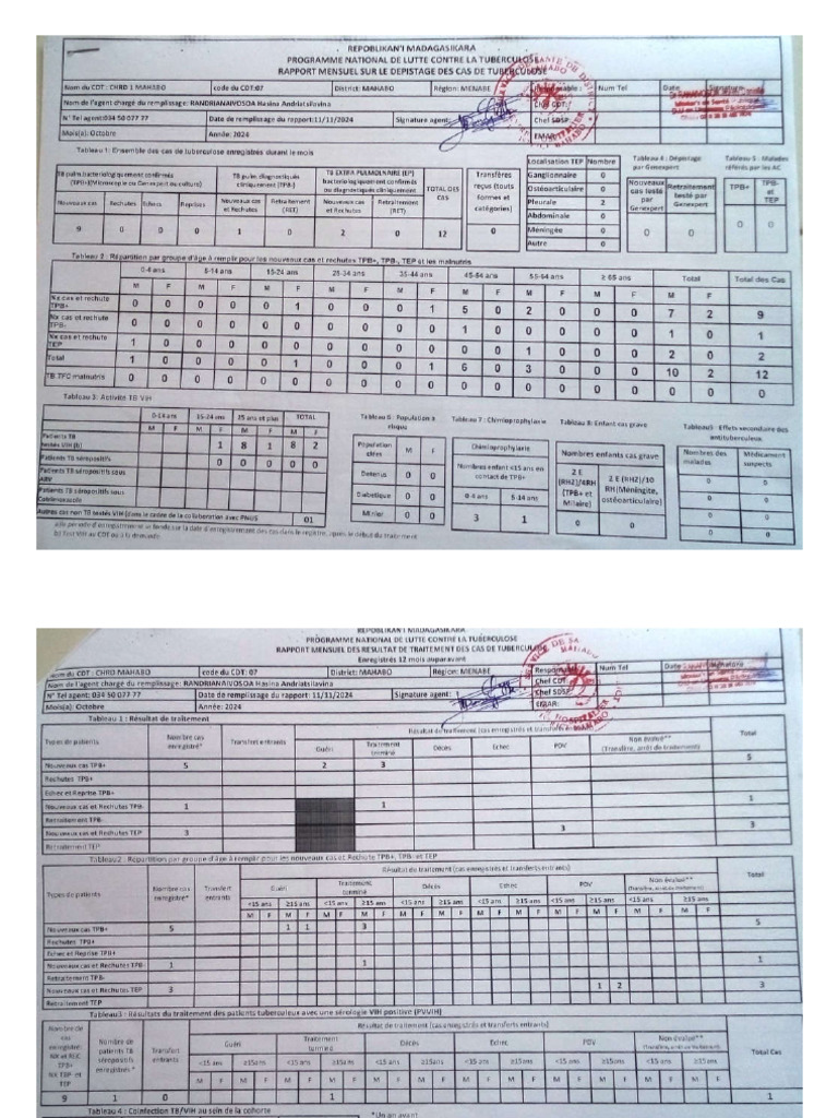 Rapport TB Oct DHRD Mahabo | PDF