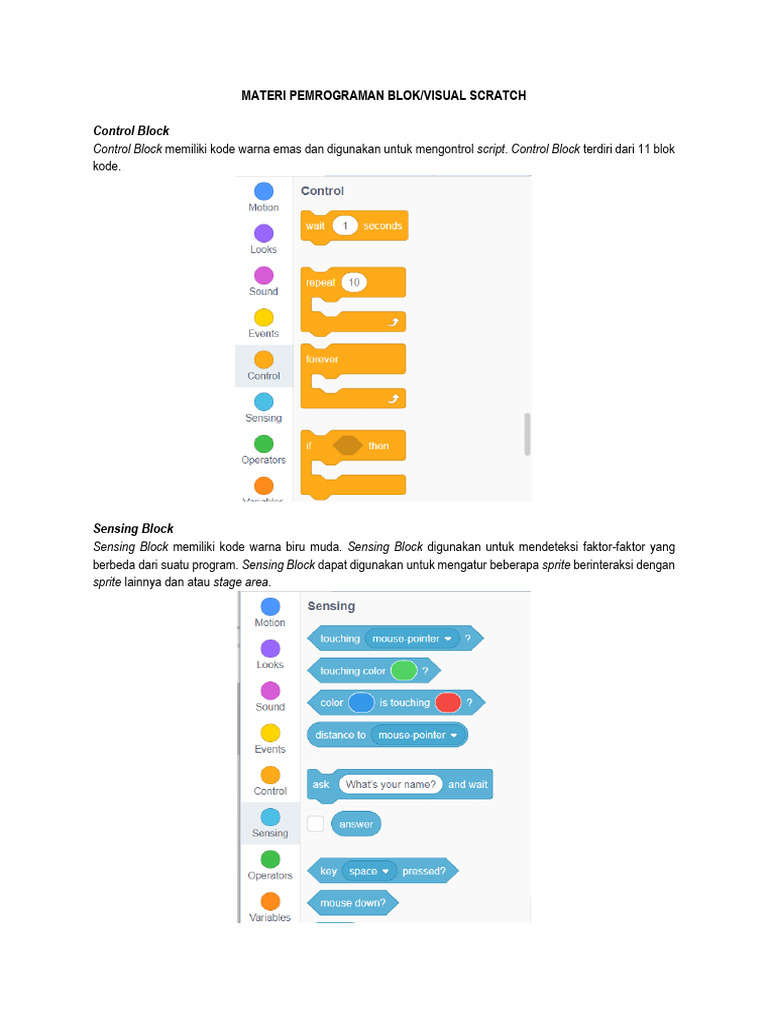 Scratch Fungsi Kondisional Dan Perulangan | PDF