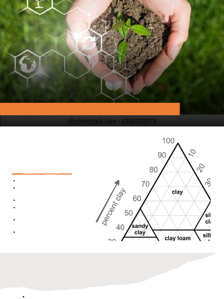 Soil Chemical Properties | PDF | Soil | Ph