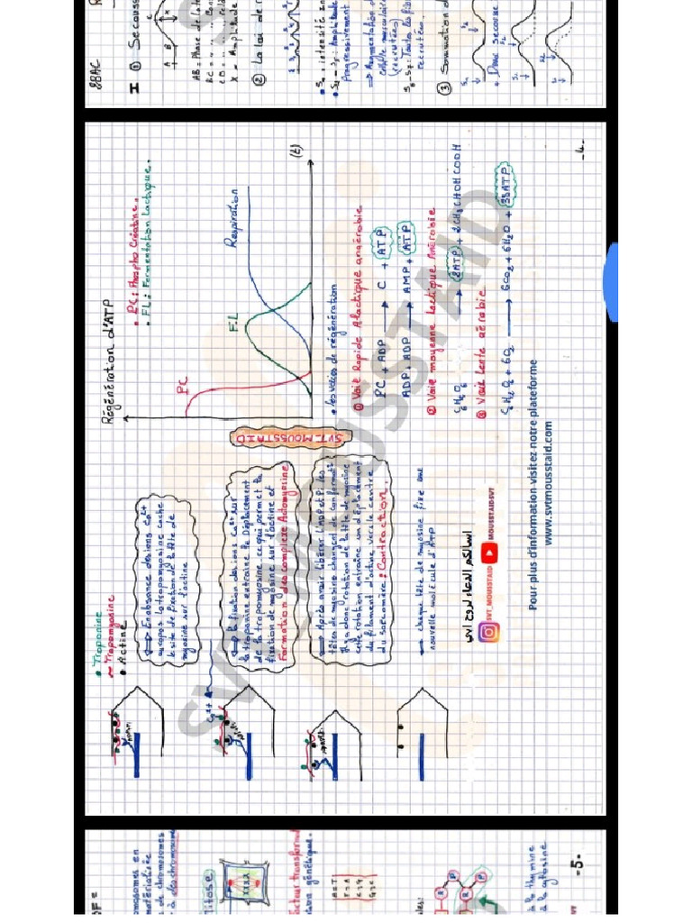 PDF 20241121 104316 | PDF