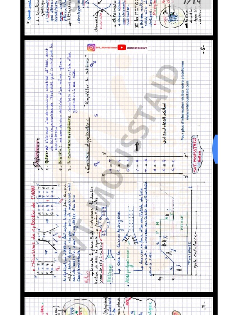 PDF 20241121 104339 | PDF