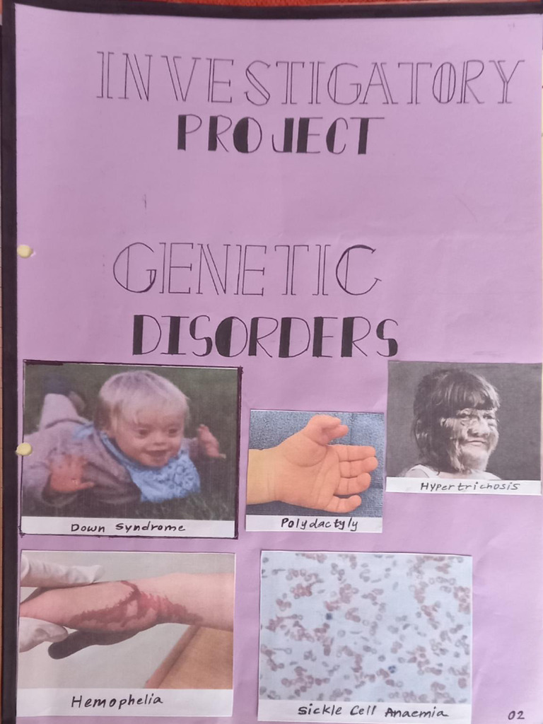 Biology Investigatory Project Genetic Disorders | PDF