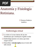 Capas de La Retina | PDF | Retina | Percepción visual